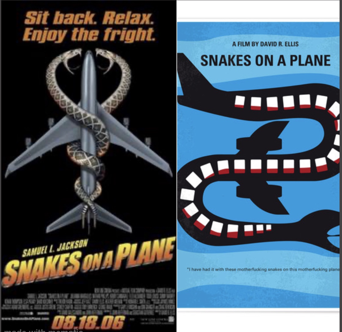Snake(s) on a Plane – Gematria Sky Party – Blog
